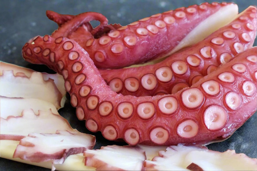 Calamari & Octopus – Oceanside Seafood