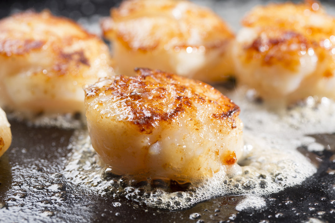 Wild Caught Jumbo Sea Scallops