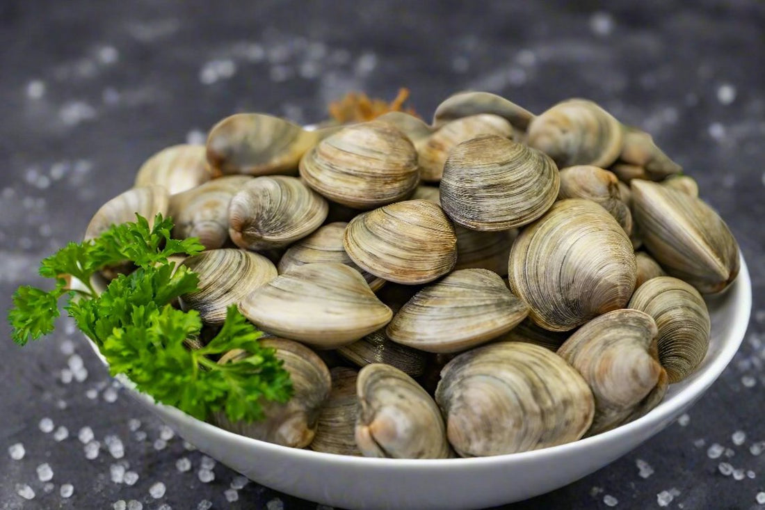 Whole-Shell Clams – Oceanside Seafood