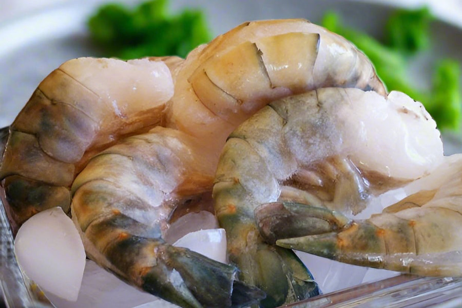 Colossal Freshwater Prawns – Oceanside Seafood