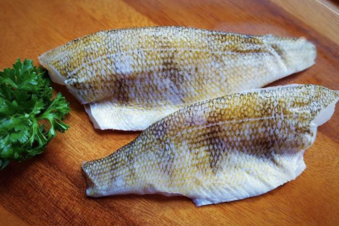 Great Lakes Caught Yellow Lake Perch